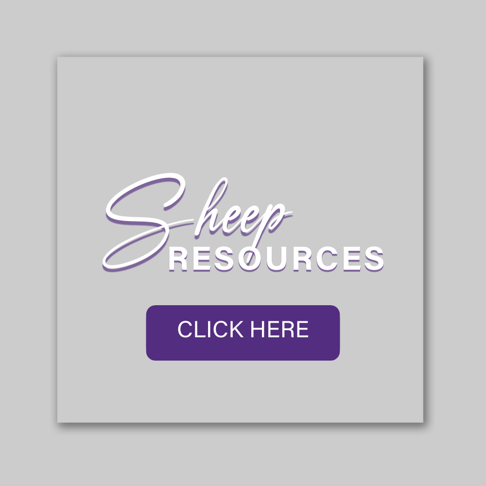 Blue Ribbon Show Supply | Weaver Livestock Dealer in Georgia